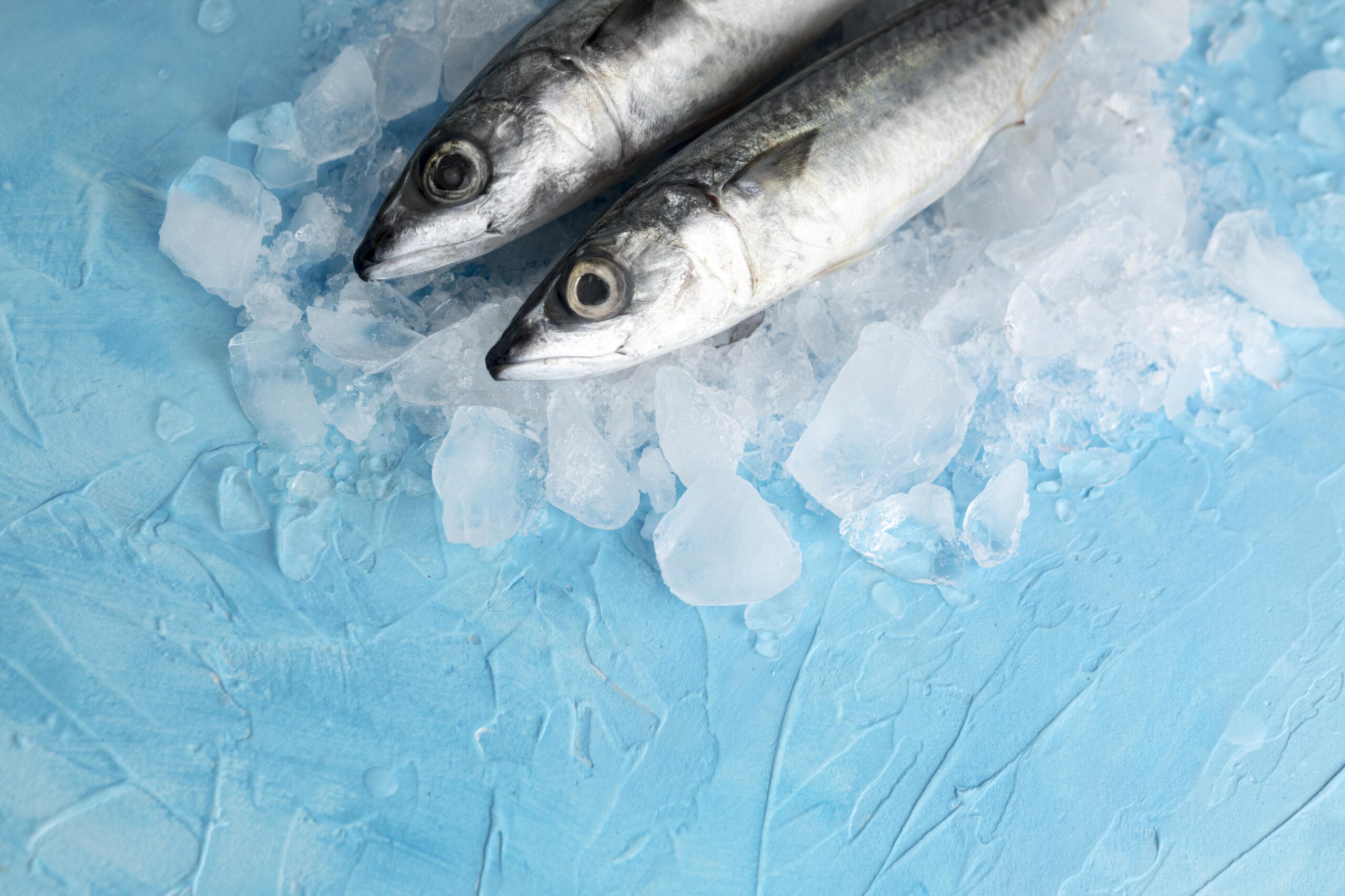Generación de hielo troceado y granular para industria alimentaria